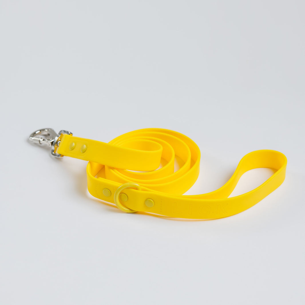 COLLAR & LEASHES – LICKco